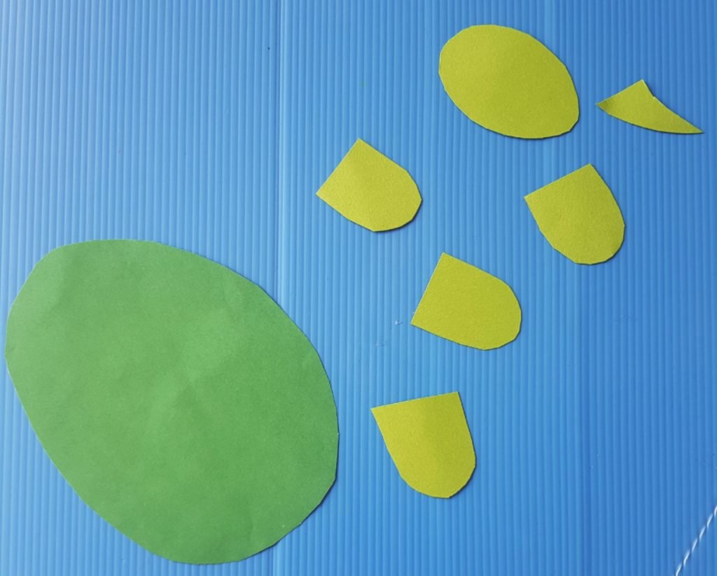 Adorable Turtle Craft for Toddlers