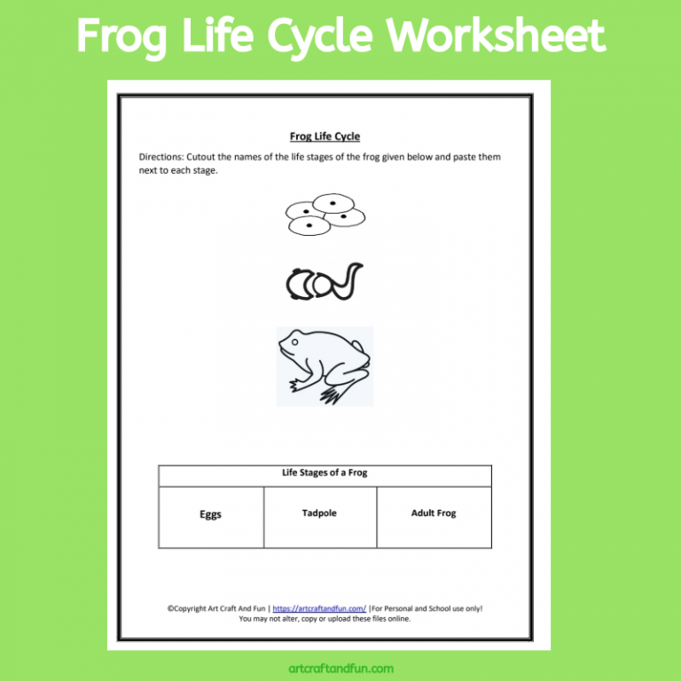 Free Printable Animal Life Cycle Worksheets