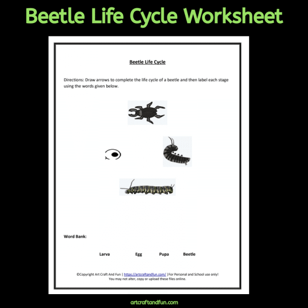 Free Printable Animal Life Cycle Worksheets