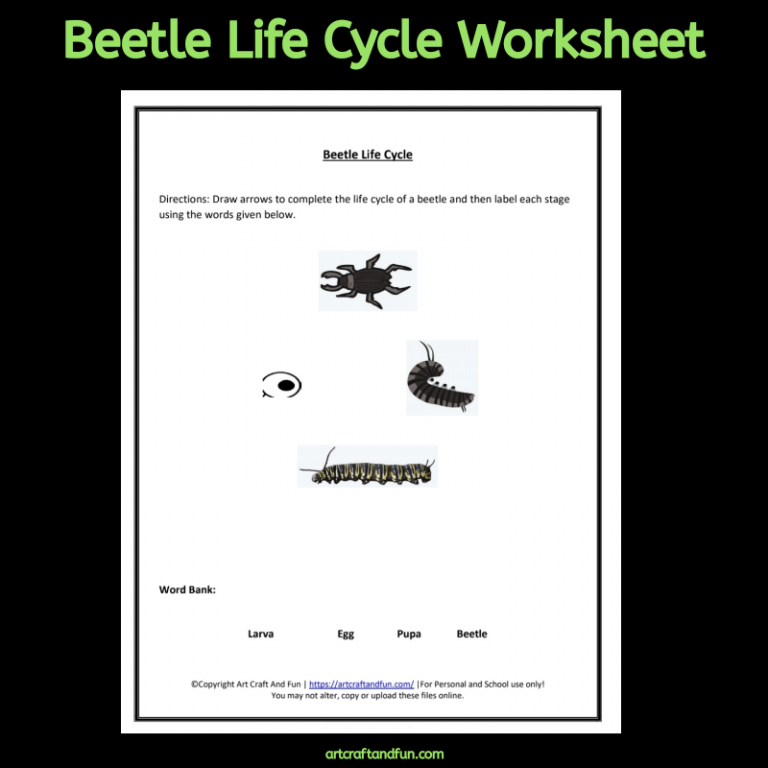 Free Printable Animal Life Cycle Worksheets