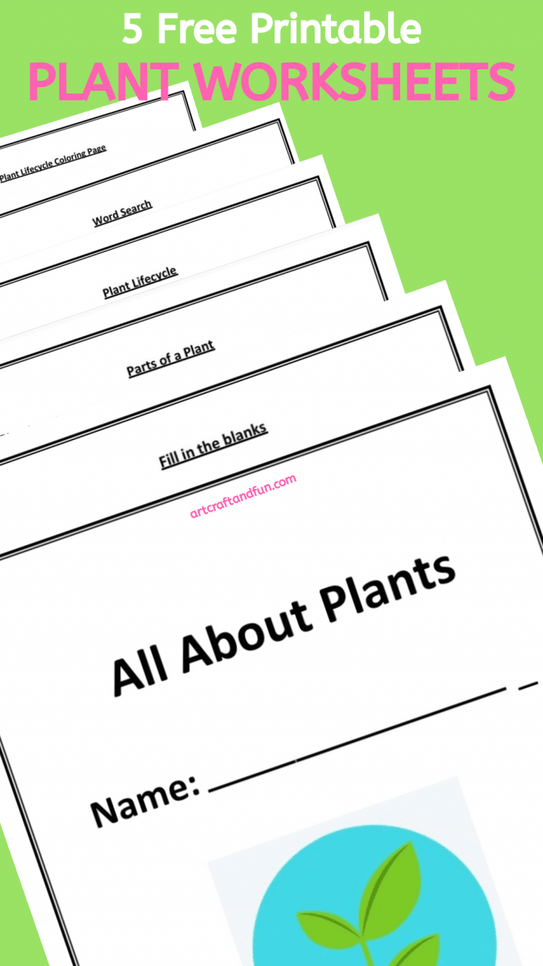 Free Printable Plant Worksheets