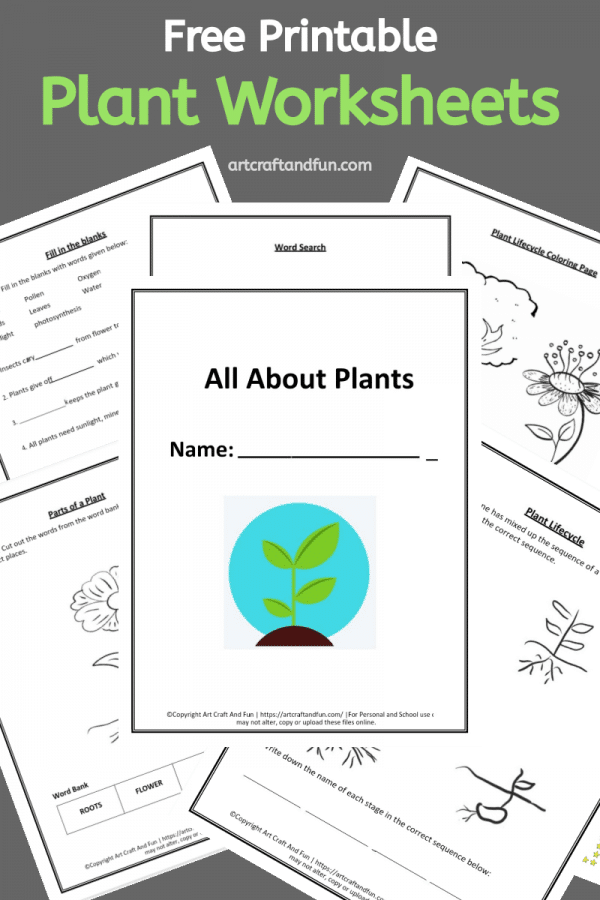 Free Printable Plant Worksheets