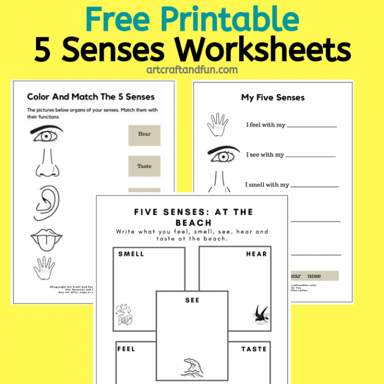 Free Printable 5 Senses Worksheets