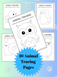 Fun with Animal Tracing: 10 Exciting Pages for Your Kids